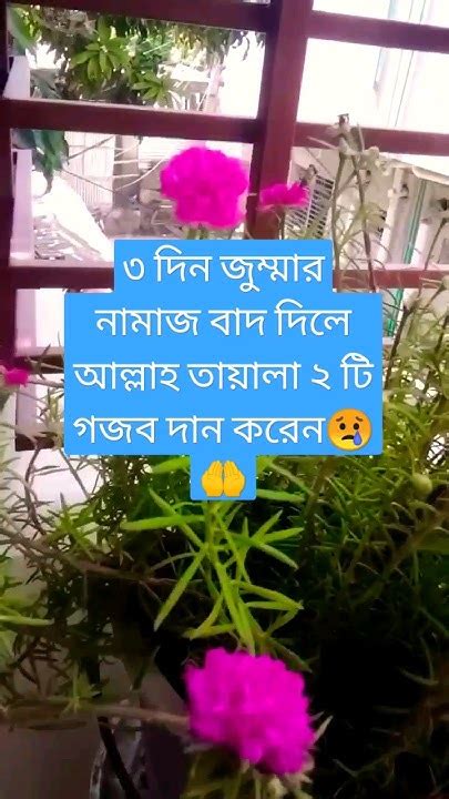 ৩ দিন জুম্মার নামাজ বাদ দিলে আল্লাহ তায়ালা ২ টি গজব দান করেন😢🤲islam
