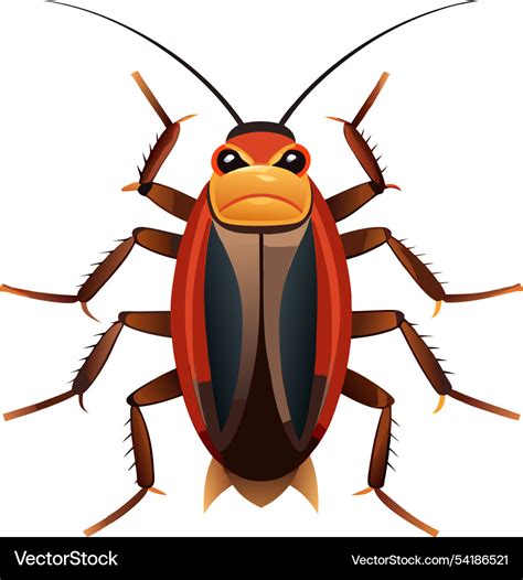 Cockroach Art 6 Royalty Free Vector Image Vectorstock