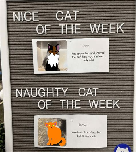 A Meme Of Two Of My Cattails Characters R Cattailsgame