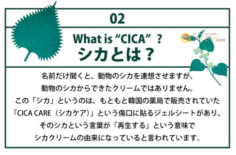 【楽天市場】シカメソッド シカクリーム 日本製 Cicaクリーム ハンドクリーム Cica Method Hand Cream 30g 薬用