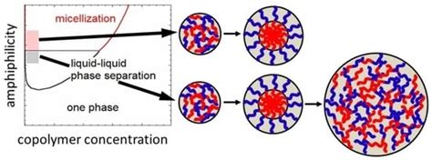 Kinetics Of Micellization And Liquidliquid Phase Separation In Dilute Block Copolymer Solutions