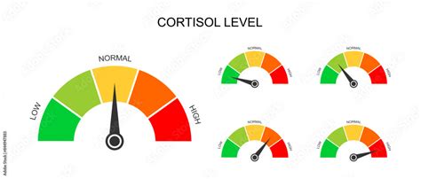 Set Of Cortisol Meter Gauges Levels Of Body Stress Response Hormone