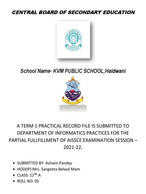 Ip Practical File Pdf Chart Cartesian Coordinate System