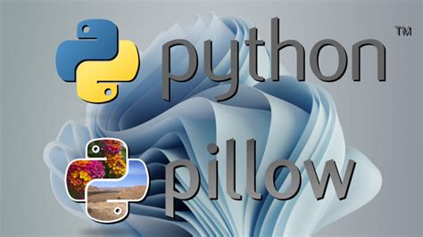 【初心者向け】windowsにpillowpilをインストール【python】 おとといからきたいも