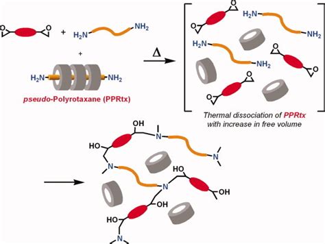 Thermally Dissociable Pseudo‐polyrotaxane As A Supramolecular Shrinkage Suppressor For Epoxy