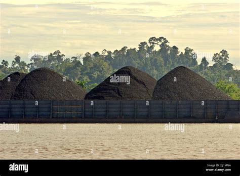 Coal Barge On Segah River In Tanjung Redeb Berau East Kalimantan