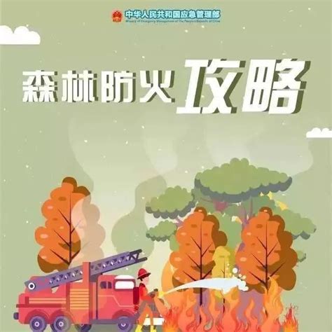 【应急科普】这份森林防火攻略，请收下→澎湃号·政务澎湃新闻 The Paper