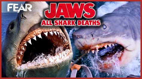 Jaws Shark Attack