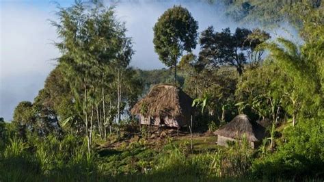 Days Of Tribal Violence In Papua New Guinea Leave More Than 35 People