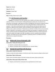 PreLab 4 Docx Name Ben Musoke Class Bio 101 117 Professor Tamara Paul Pre Lab 4 Date