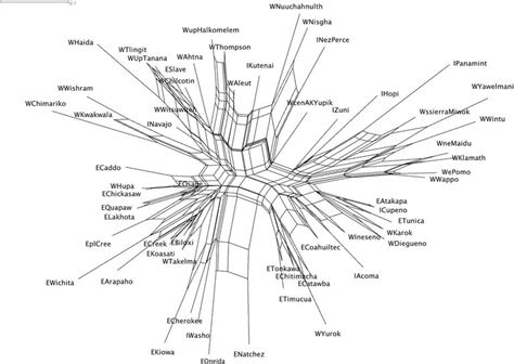 A Deep Dive May Have Solved The Mysterious Origin Of Americas Earliest