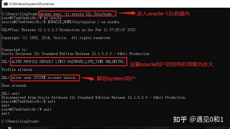 Docker Oracle C