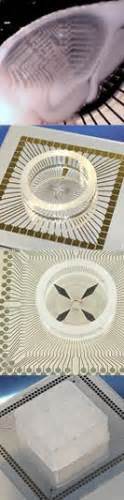 Microelectrode Arrays