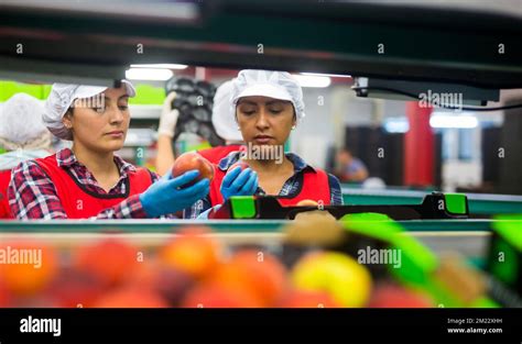 female employee in uniform sorting ripe peaches on the producing