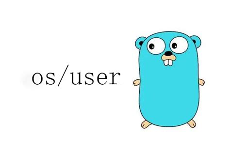 Golang Osuser 知乎