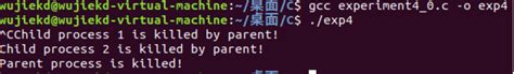 广州大学2020操作系统实验一：进程管理与进程通信 Csdn博客