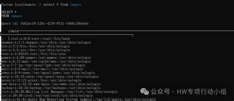 渗透技巧之clickhouse数据库安全问题clickhouse漏洞 Csdn博客