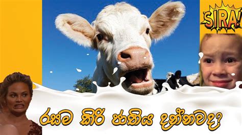 පිරියක් ඇතිව කටට රසට බොන්න පුලුවන් කිරිපිටි එක මොනවද Youtube