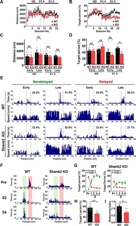 Figure 8. | Hippocampus-Dependent Goal Localization by Head-Fixed Mice in Virtual Reality | eNeuro