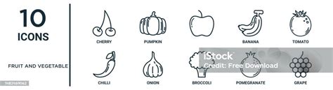 과일 및 야채 개요 아이콘 세트에는 얇은 선 체리 토마토 양파 석류 포도 보고서 프레젠테이션 다이어그램 웹 디자인에 대한 고추 아이콘이 포함됩니다 가을에 대한 스톡 벡터