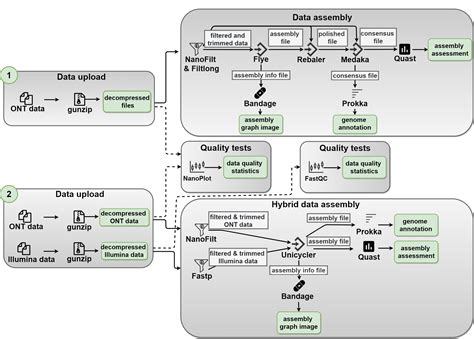guidebook for processing nanopore sequencing data microbial systems