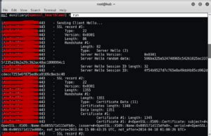 Detection And Exploitation Of Openssl Heartbleed Vulnerability Using