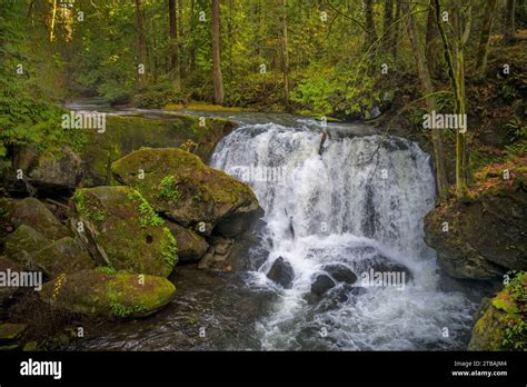 View Of A Waterfall Whatcom Creek From The Stone Bridge In Whatcom