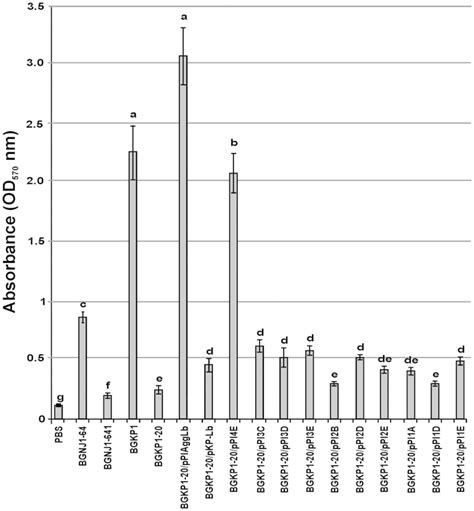 Graphical Presentation Of Results Obtained In Fibronectin Binding Assay Download Scientific
