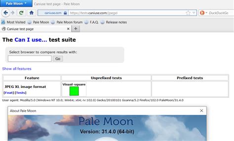 Add Pale Moon To The Browser List Issue Fyrd Caniuse Github