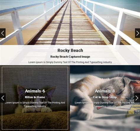 Meta Slider And Carousel With Lightbox Meta Slider Plugin Essential