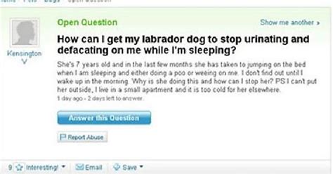 Yahoo Answer Classic Imgur