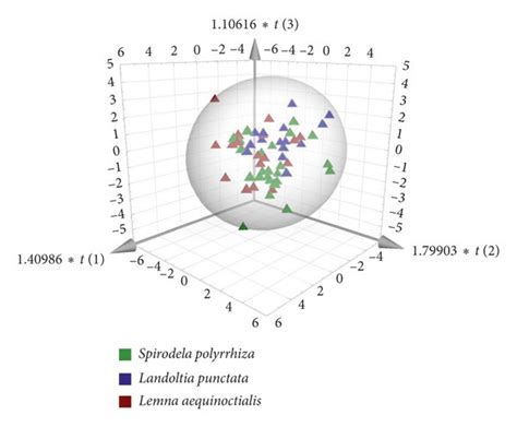 three dimensional score plot of orthogonal partial least download