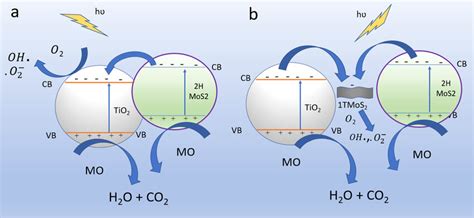 Schematic Illustration Of The Charge Transfer Process Of The Dye