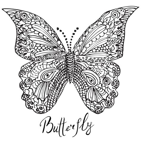 Ornamental Hand Drawn Sketch Of Butterfly 2486269 Vector Art At Vecteezy