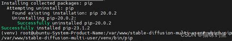 解决进入虚拟环境venv后pip路径仍然是在全局路径usr bin下的问题
