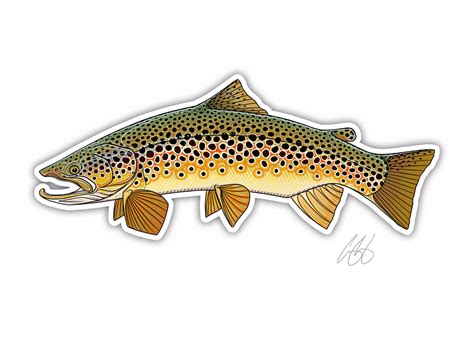 Speckled Trout Decal