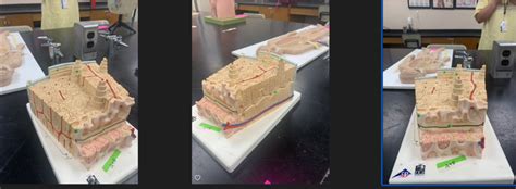 Osseous Tissue Diagram Quizlet