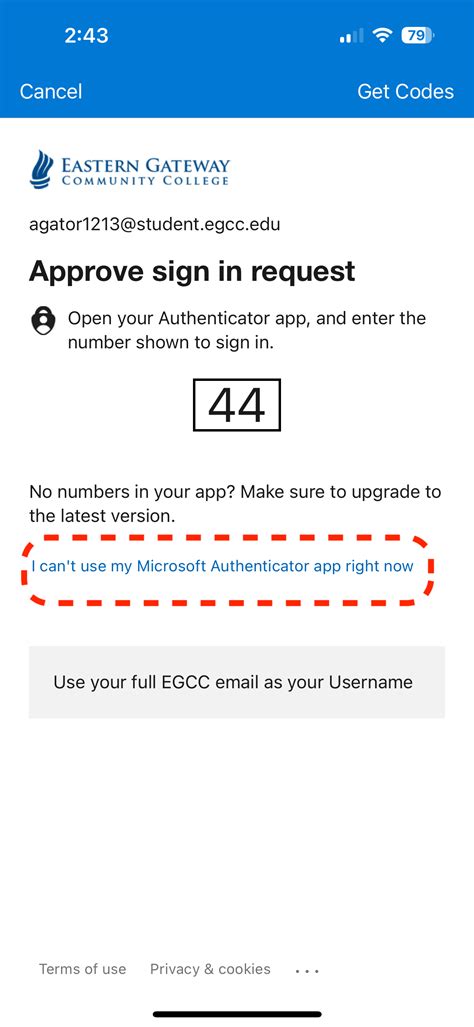 Microsoft Authenticator Service Principal Error