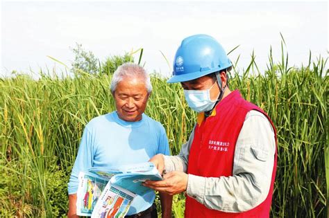 安全用电知识宣传 随州市人民政府门户网站