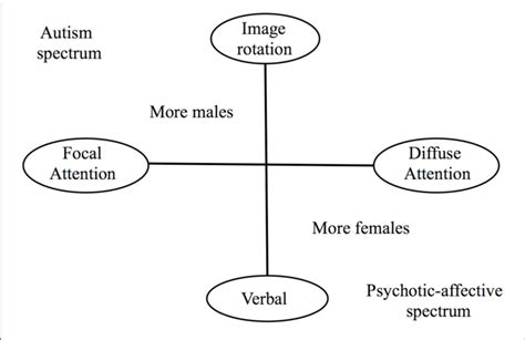 Two Orthogonal Dimensions Of Intelligence Which Emerge After The