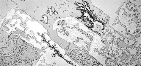 Til That All Tears Have A Different Chemical Makeup Some Even Contain