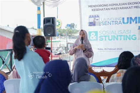 News Pt Timah Tbk