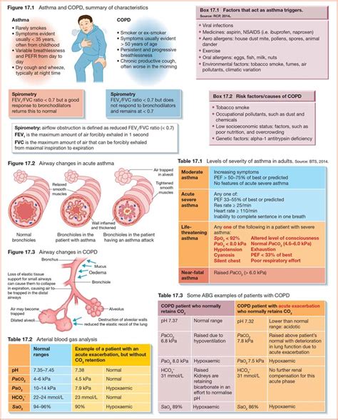 Breathing Problems Obstructive Disorders Nurse Key