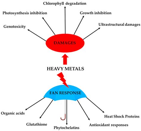 Heavy Metal Genealoy Chart