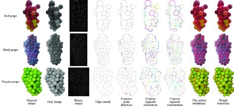 Model Detection Effect And Comparison Diagram Under Different Types Of Download Scientific