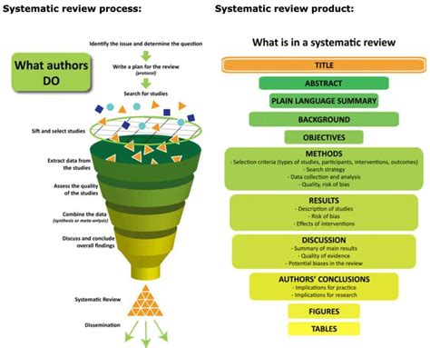 Rejina This Infographic Provides A Clear And Comprehensive Overview