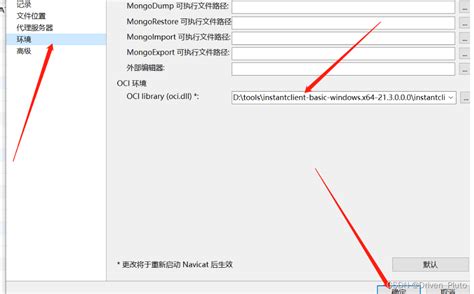 Oracle Navicat Ora Csdn