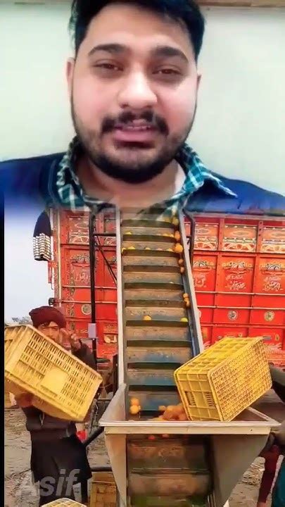 مشین کے استعمال سے کسے فروٹ کو ٹرک میں ڈا لا جا رہا ہےshort Videoviral Youtube Follow