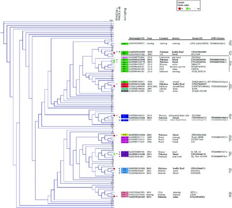 Cladogram Of The Kmer Distance Tree Derived From The Ncbi Pathogen