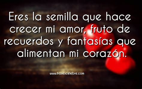 Frases De Despedida De Amor Cortas